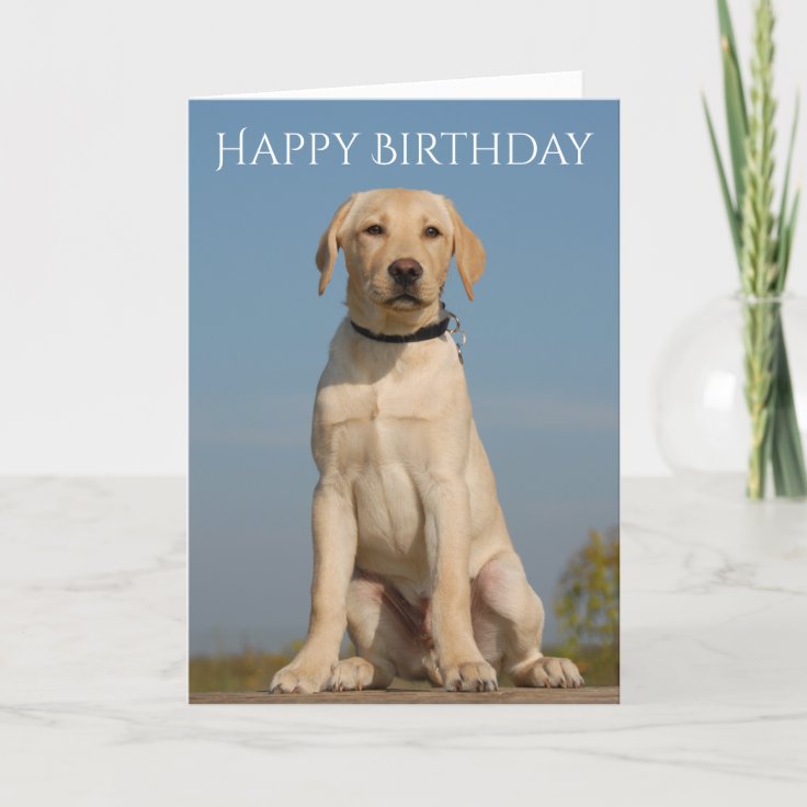 Happy Birthday Yellow Labrador Retriever Puppy Dog Card | Zazzle