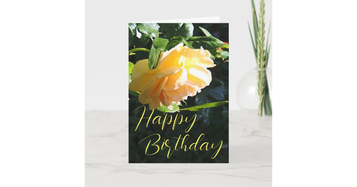 Happy Birthday Yellow Rose Card Zazzle