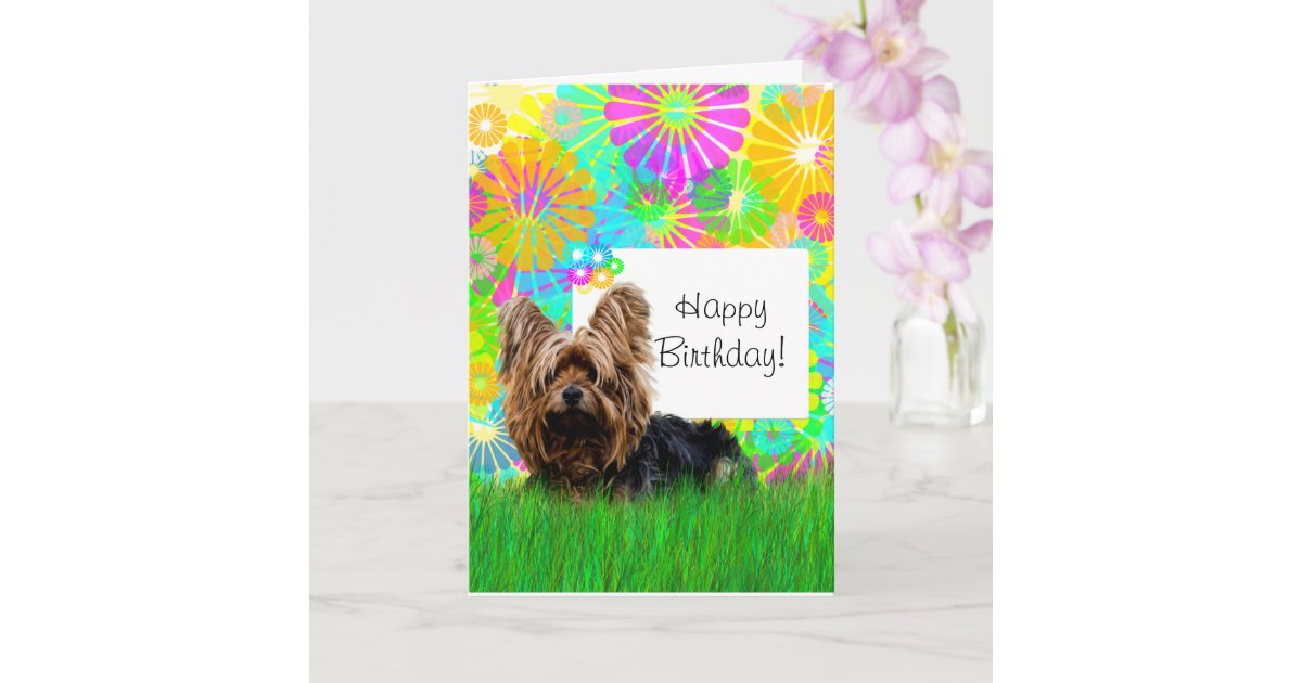 Happy Birthday Yorkie Dog Card | Zazzle