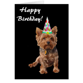 Yorkie Birthday Cards - Greeting & Photo Cards | Zazzle
