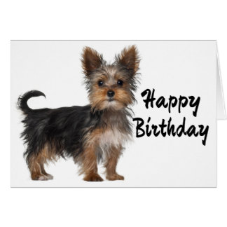 Yorkie Birthday Cards - Greeting & Photo Cards | Zazzle