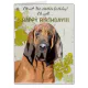 Happy Birthday, You ol’ Hound Giant Card | Zazzle