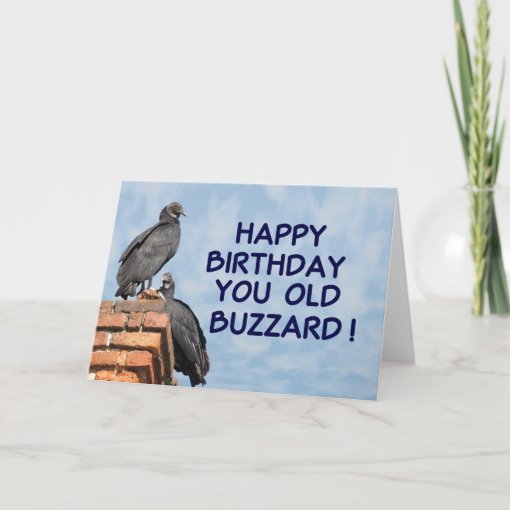 Happy Birthday You Old Buzzard Birthday Card | Zazzle