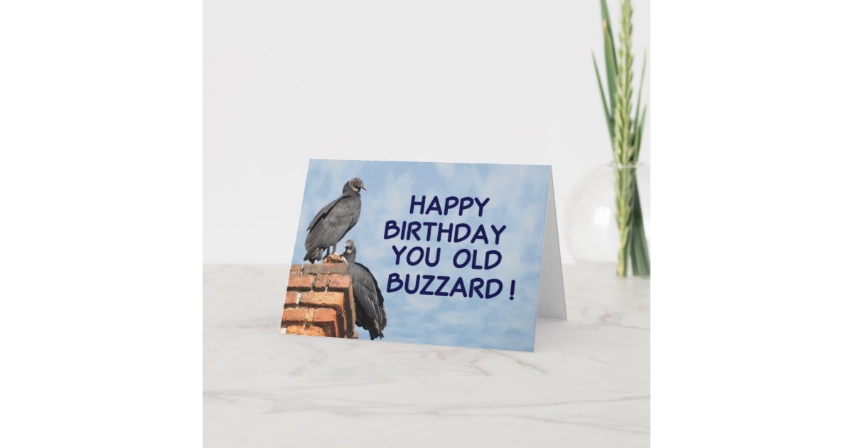 Happy Birthday You Old Buzzard Birthday Card | Zazzle