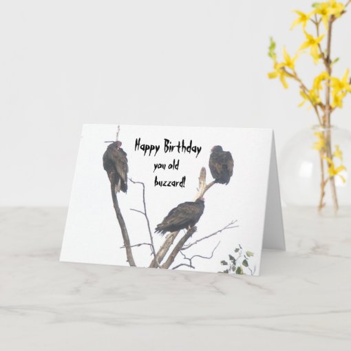 Happy Birthday You Old Buzzard Card | Zazzle