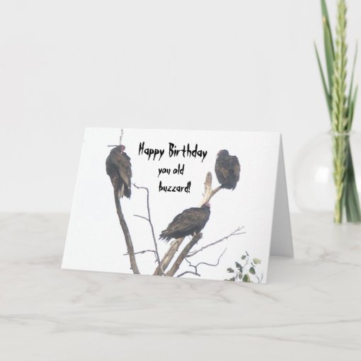 Happy Birthday You Old Buzzard Card | Zazzle