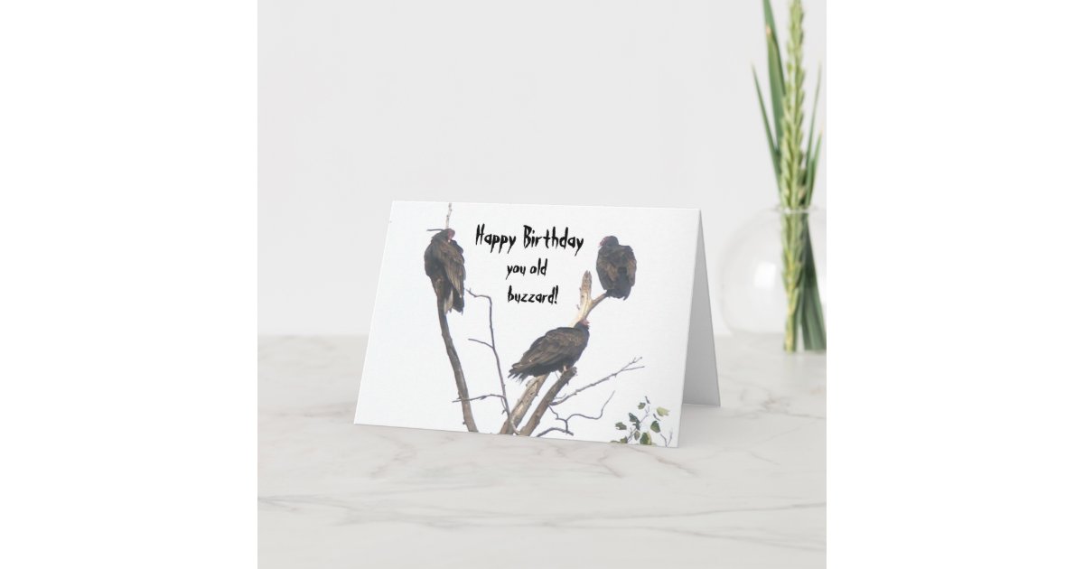 Happy Birthday You Old Buzzard Card | Zazzle