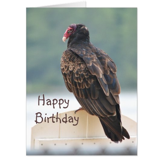 Happy Birthday You Old Buzzard Card | Zazzle.com