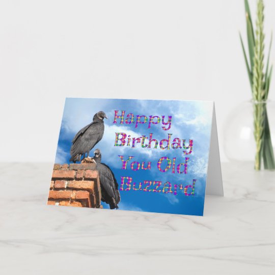 Happy Birthday You Old Buzzard Greeting Card | Zazzle.com