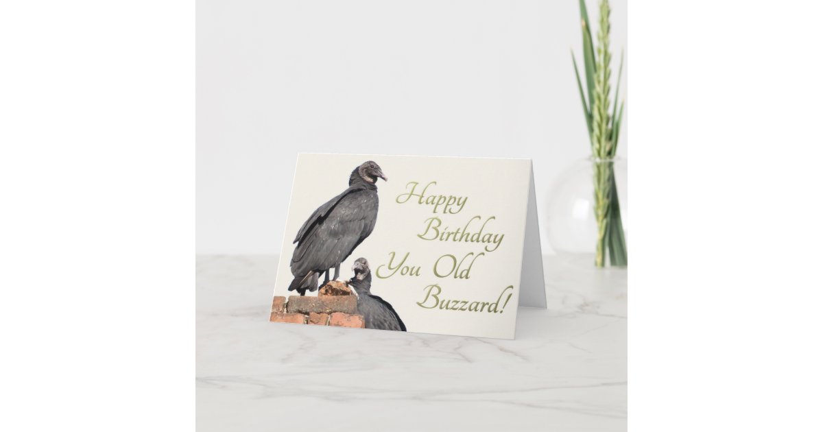 Happy Birthday You Old Buzzard! Greeting Card | Zazzle