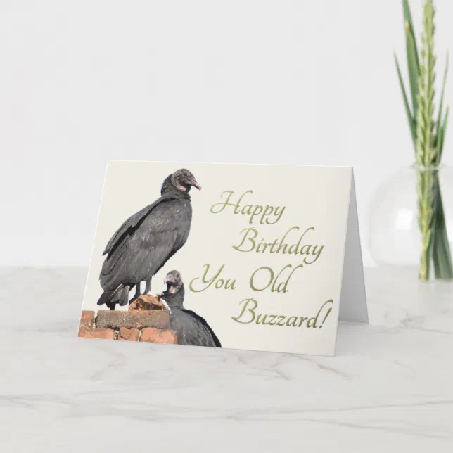 Happy Birthday You Old Buzzard! Greeting Card | Zazzle