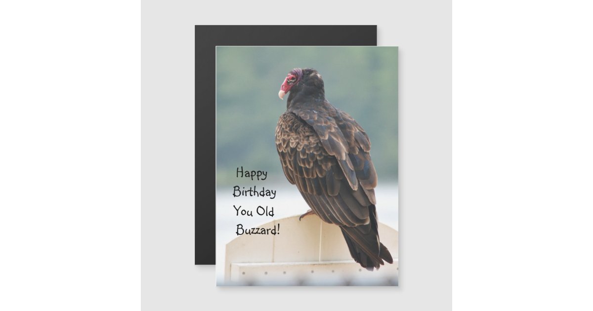 Happy Birthday You Old Buzzard Magnetic Invitation | Zazzle