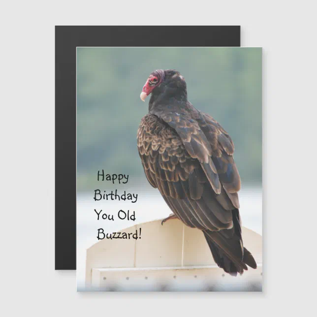 Happy Birthday You Old Buzzard Magnetic Invitation | Zazzle