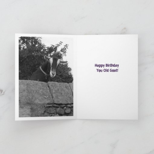 Happy Birthday You Old Goat! - Card | Zazzle