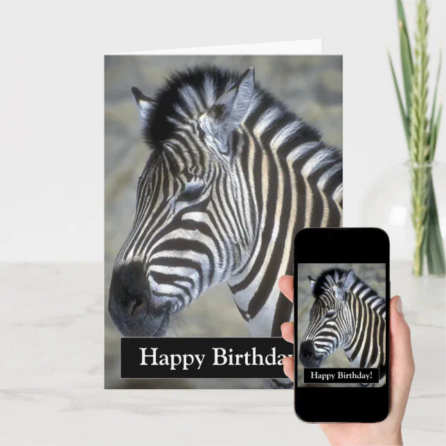 Happy Birthday Zebra Card | Zazzle