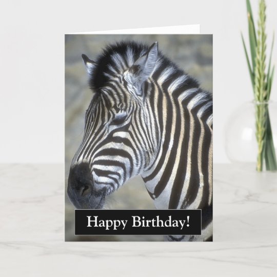 Happy Birthday Zebra Card | Zazzle.com