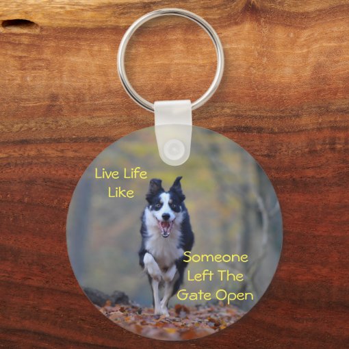 Happy Border Collie Inspirational Saying Keychain | Zazzle