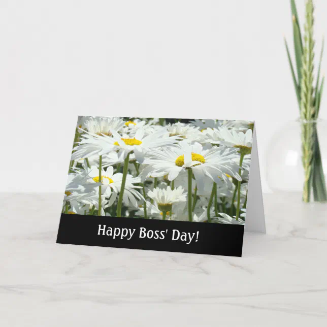 Happy Boss' Day! cards White Daisy Flowers Bosses | Zazzle