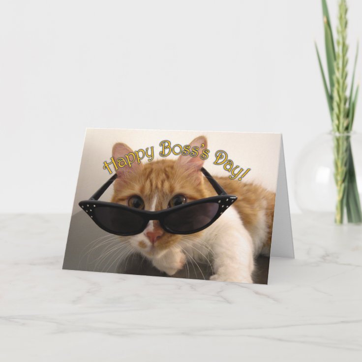 Happy Boss's Day - Cool Cat with Sunglasses Card | Zazzle