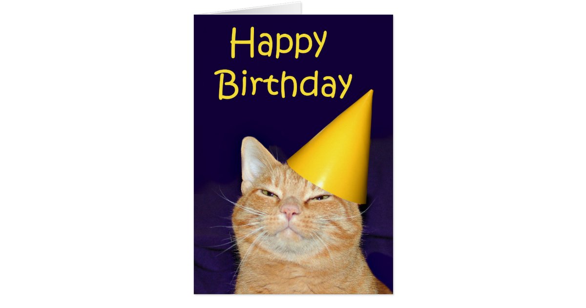 Happy cat Happy Birthday Card | Zazzle.com