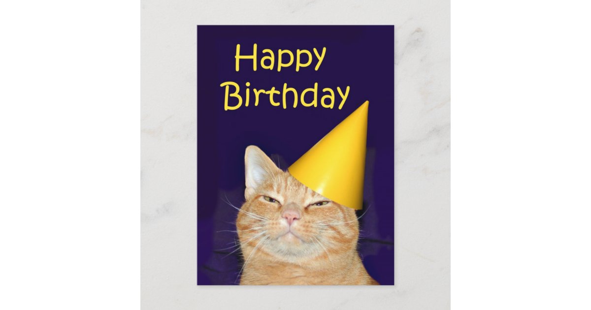 Happy cat Happy Birthday Postcard | Zazzle