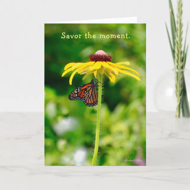 Happy Continuation Day: Savor the moment Card | Zazzle
