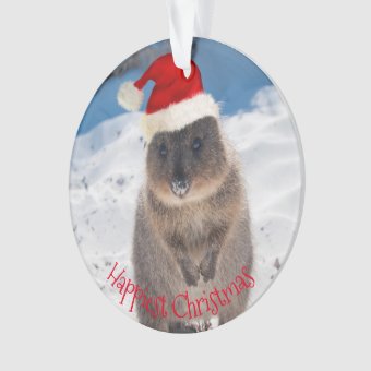 Happy Cute Merry Christmas Quokka Beach Australia Ornament | Zazzle