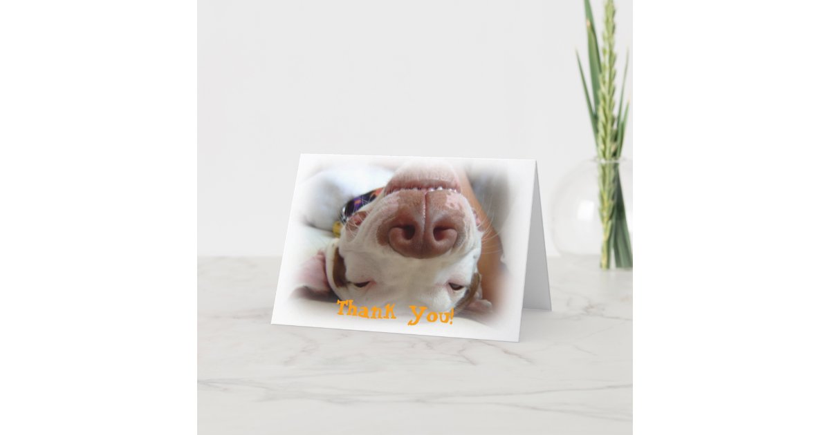 Happy Dog Thank You | Zazzle
