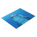 Happy Dolphin Jigsaw Puzzle | Zazzle