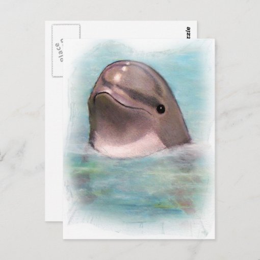 HAPPY DOLPHIN POSTCARD | Zazzle