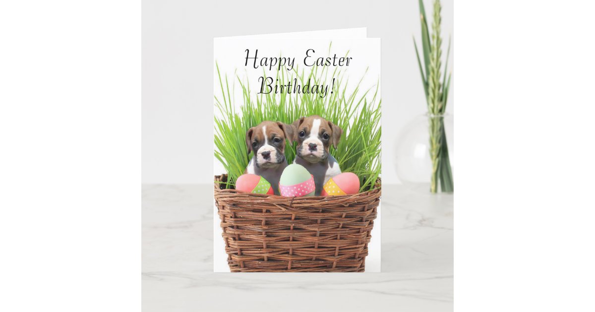 Happy Easter Birthday boxer pups card | Zazzle