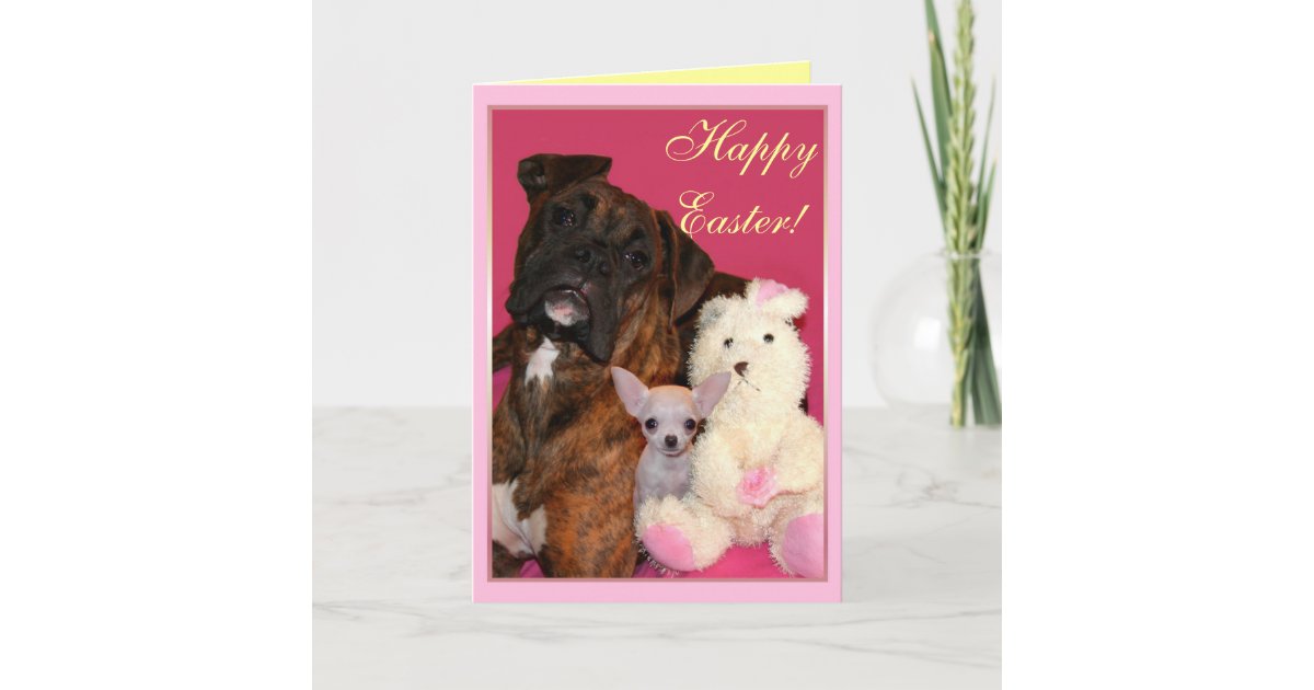 Happy Easter Boxer and Chihuahua greeting card | Zazzle