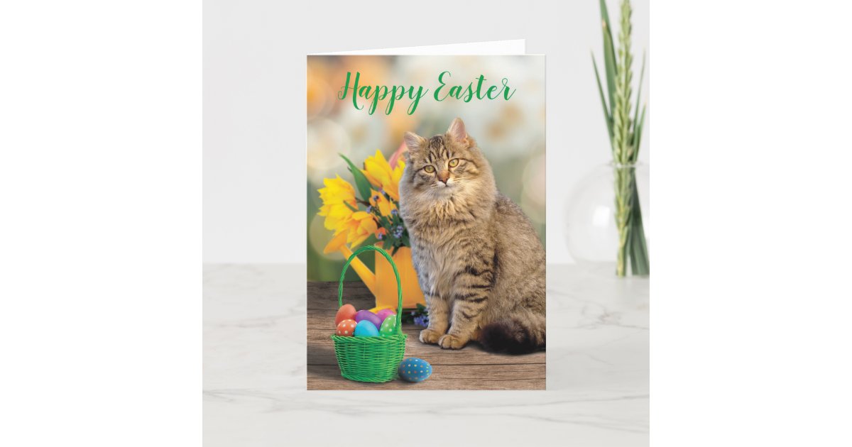 Happy Easter Cat Card Easter Basket | Zazzle