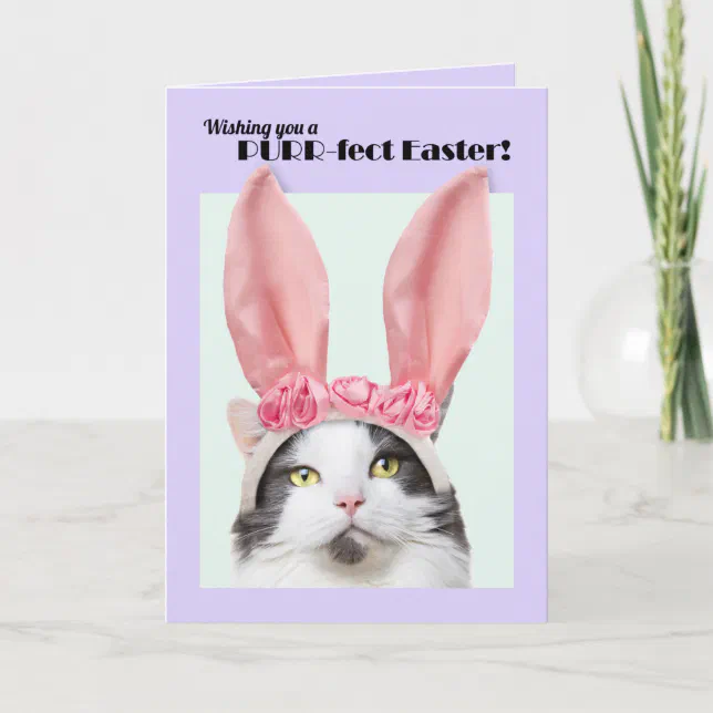 Happy Easter For Anyone Cute Cat in Bunny Ears Holiday Card | Zazzle