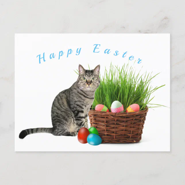 Happy Easter From Your Cat Postcard | Zazzle
