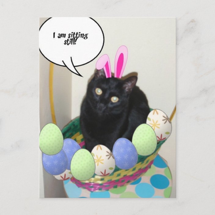 Happy Easter Kitty Holiday Postcard | Zazzle.com