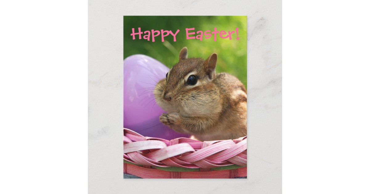 Happy Easter Little Chipmunk Holiday Postcard | Zazzle