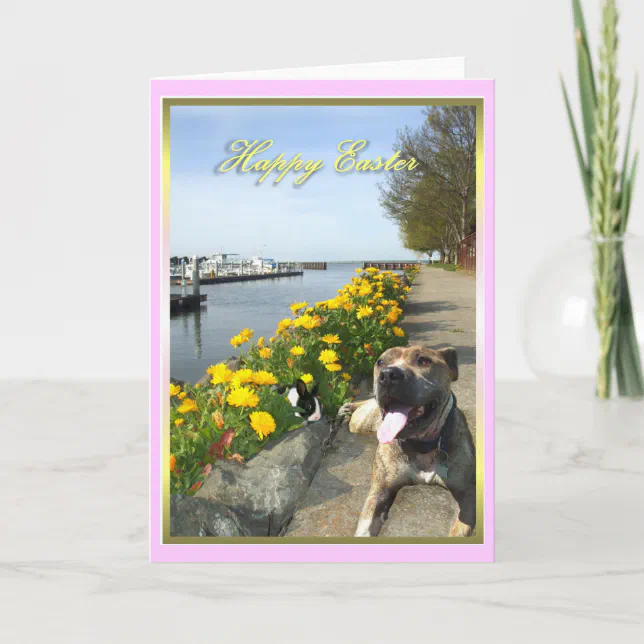 Happy Easter Pitbull and bunny greeting card | Zazzle