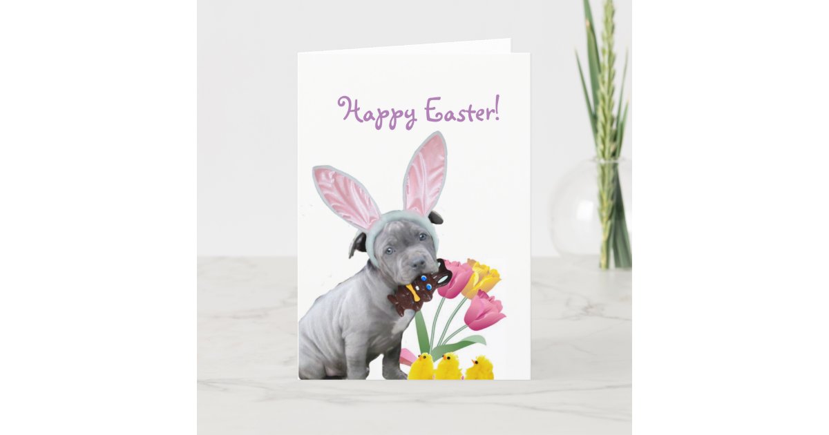 Happy Easter Pitbull puppy card | Zazzle