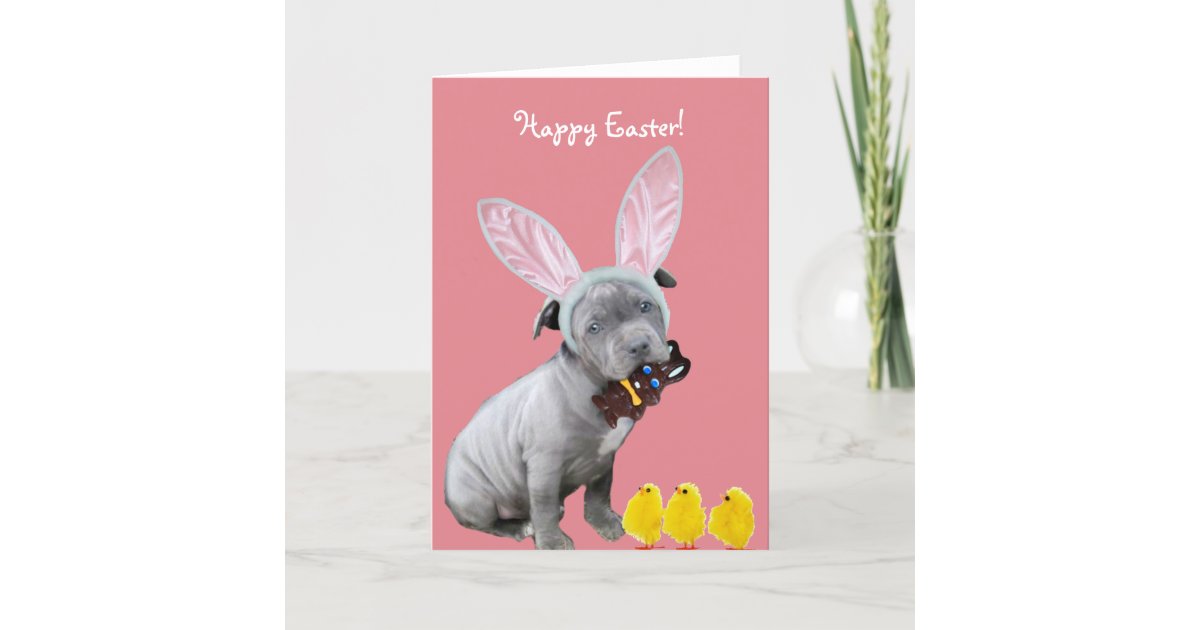 Happy Easter Pitbull puppy greeting card | Zazzle