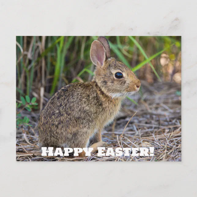 Happy Easter! Postcard | Zazzle