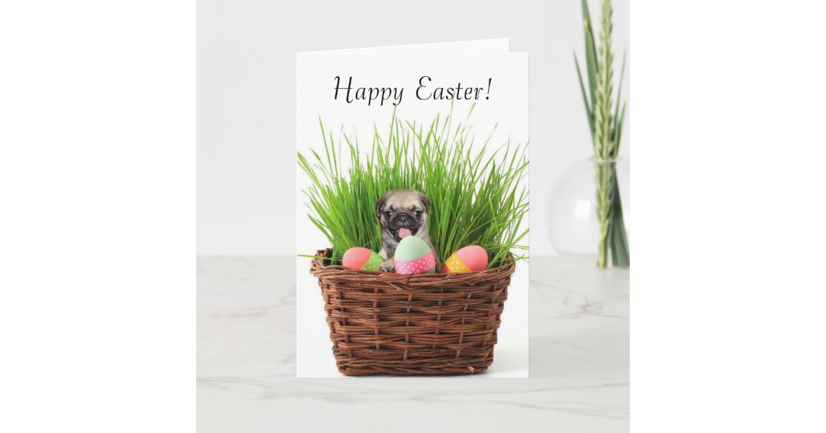 Happy Easter pug puppy greeting card | Zazzle