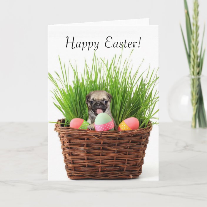 Happy Easter pug puppy greeting card | Zazzle.com