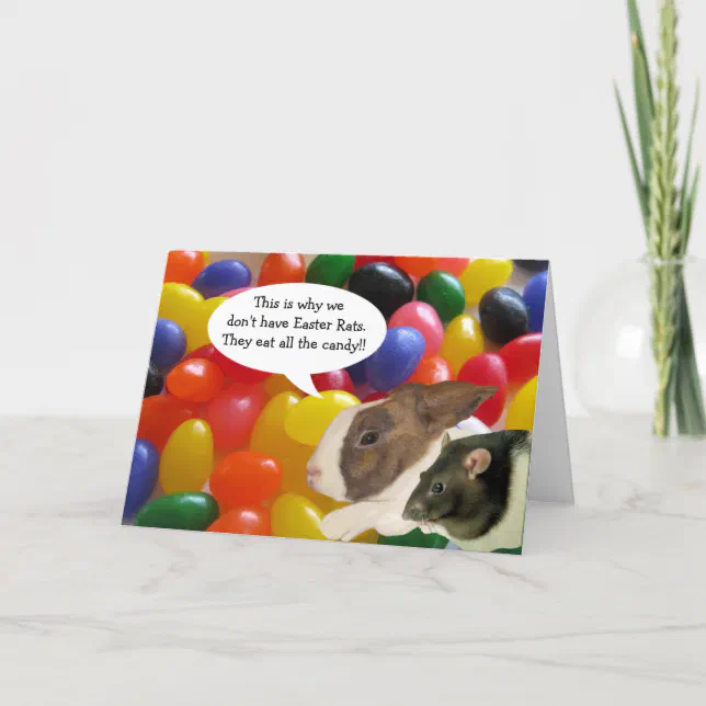Happy Easter Rat Greeting Card | Zazzle