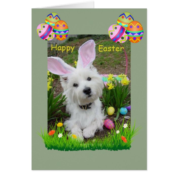 Happy Easter Westie Card | Zazzle.com