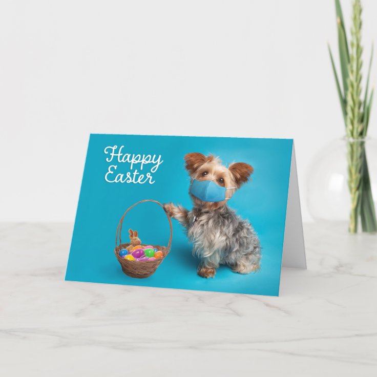 Happy Easter Yorkie Dog in Face Mask With Basket Holiday Card | Zazzle