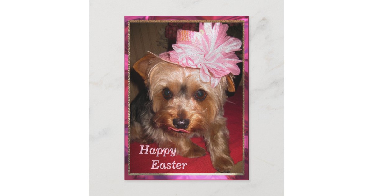 Happy Easter Yorkie Holiday Postcard | Zazzle