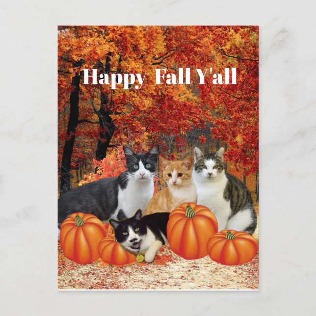 Happy Fall Y'all Cats and Pumpkins Postcard | Zazzle