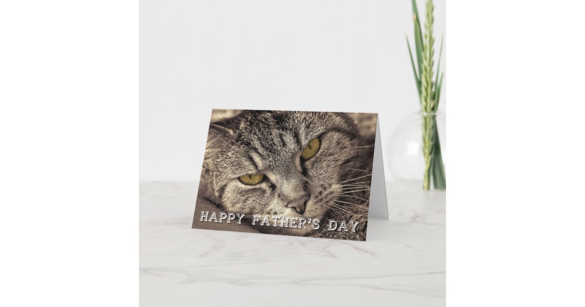 Happy Father’s Day Cat Card | Zazzle