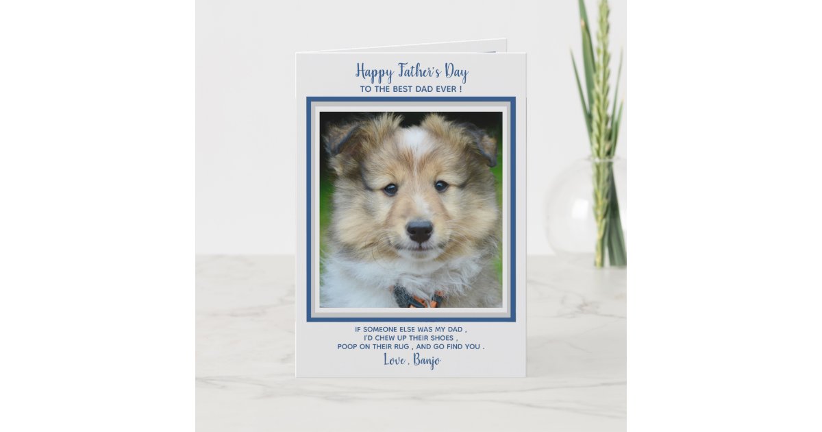 Happy Father's Day- Cute Funny Dog Dad - Pet Photo Thank You Card | Zazzle